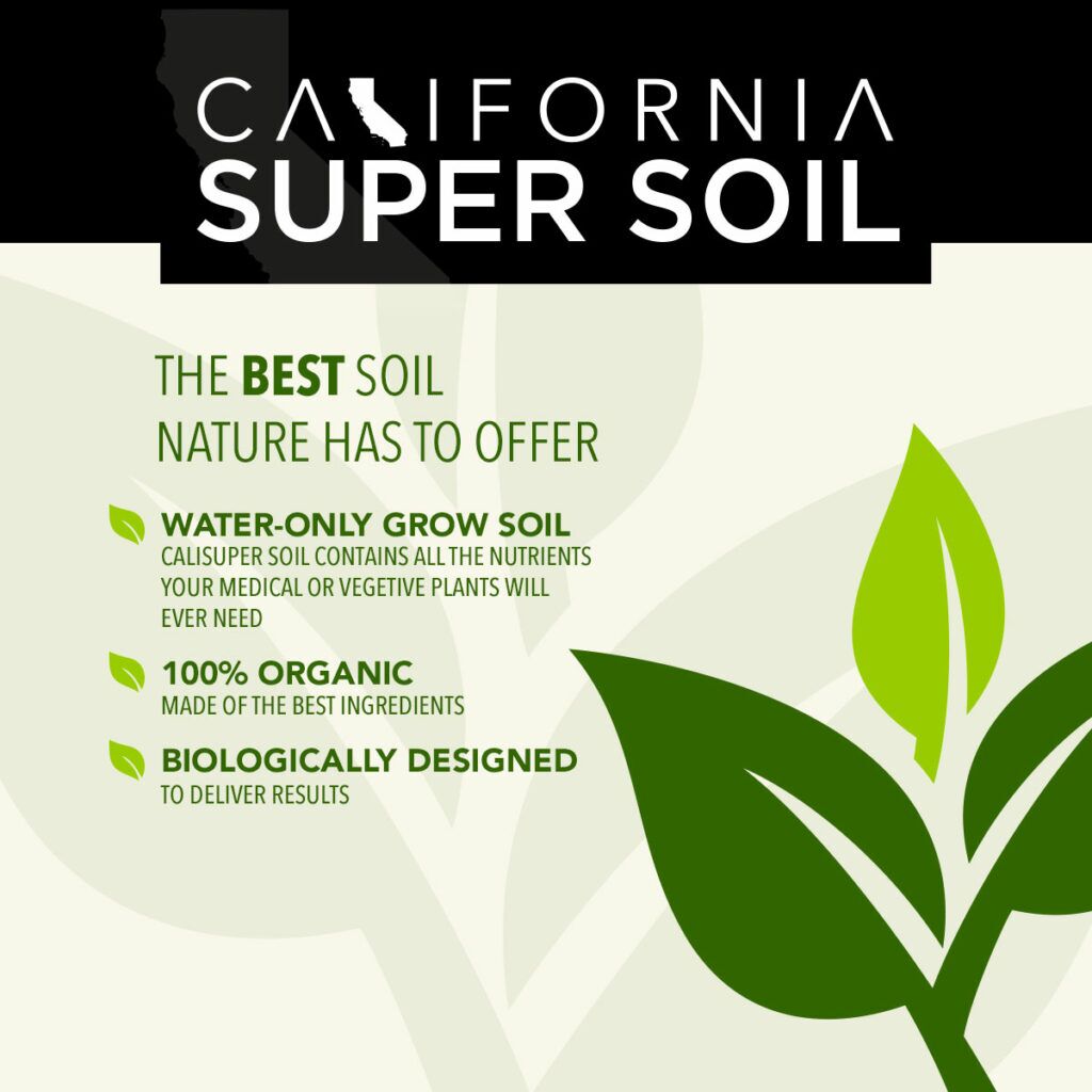 California Super Soil Grow Kit | The Bud Grower